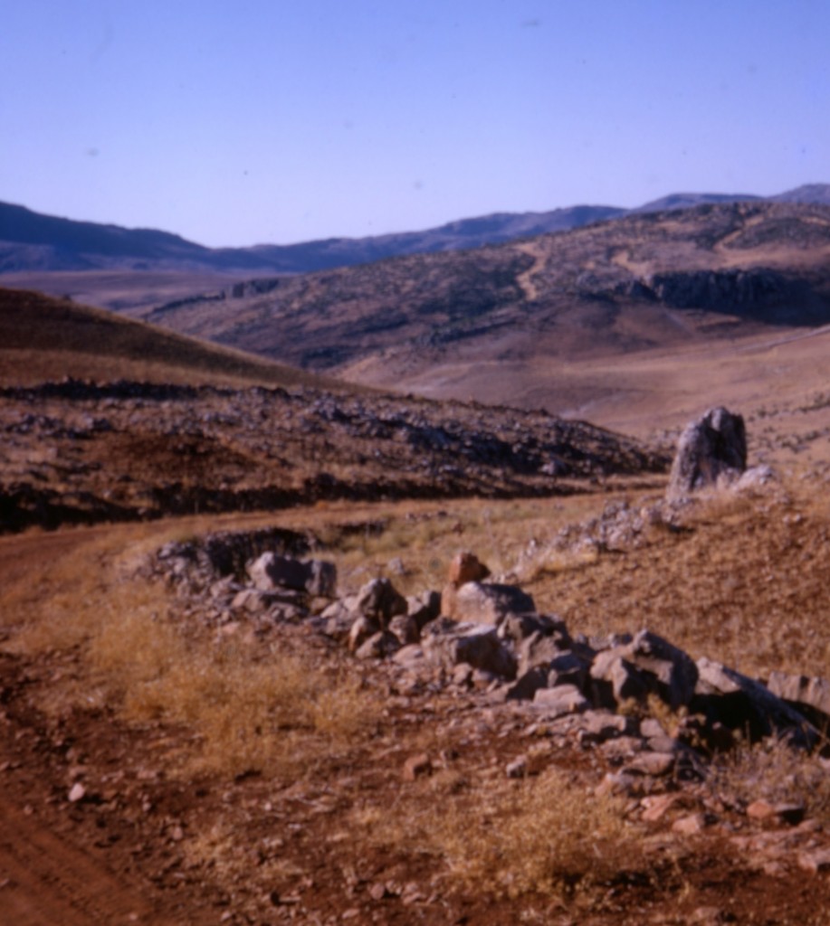 The Parable of the Sower Audio